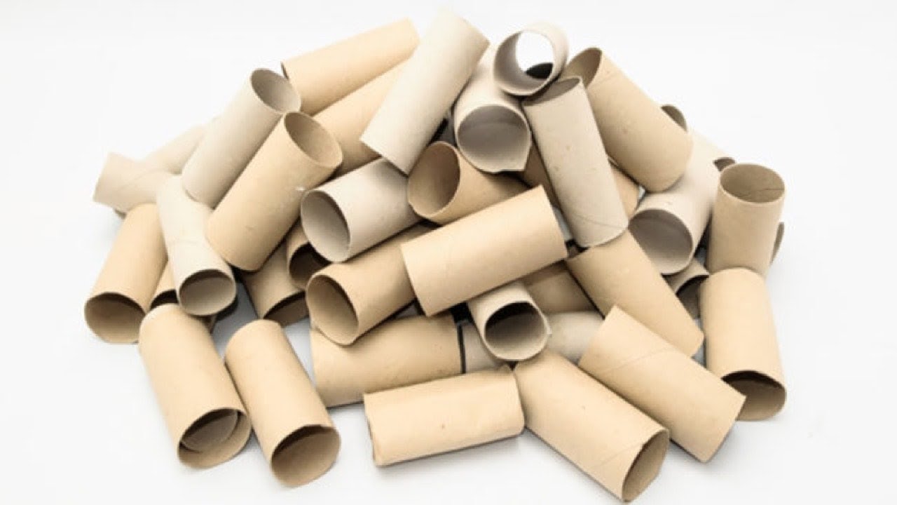 WATCH 6 Useful Things You Can Do With Your Empty Toilet Rolls South